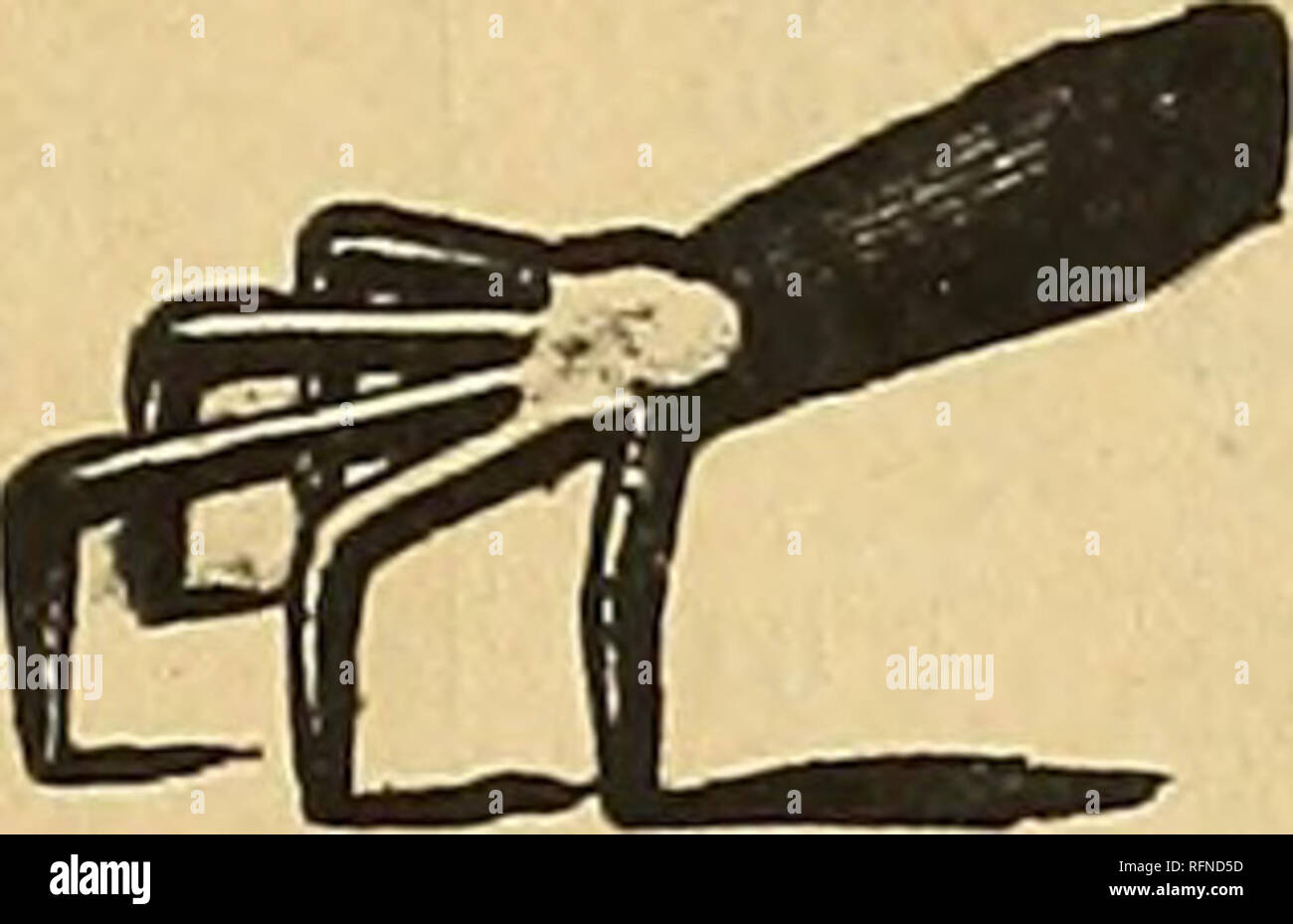 Curved potatoes hi-res stock photography and images - Alamy