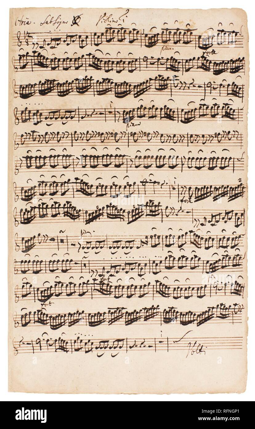 Bach flower illustration hi-res stock photography and images - Alamy