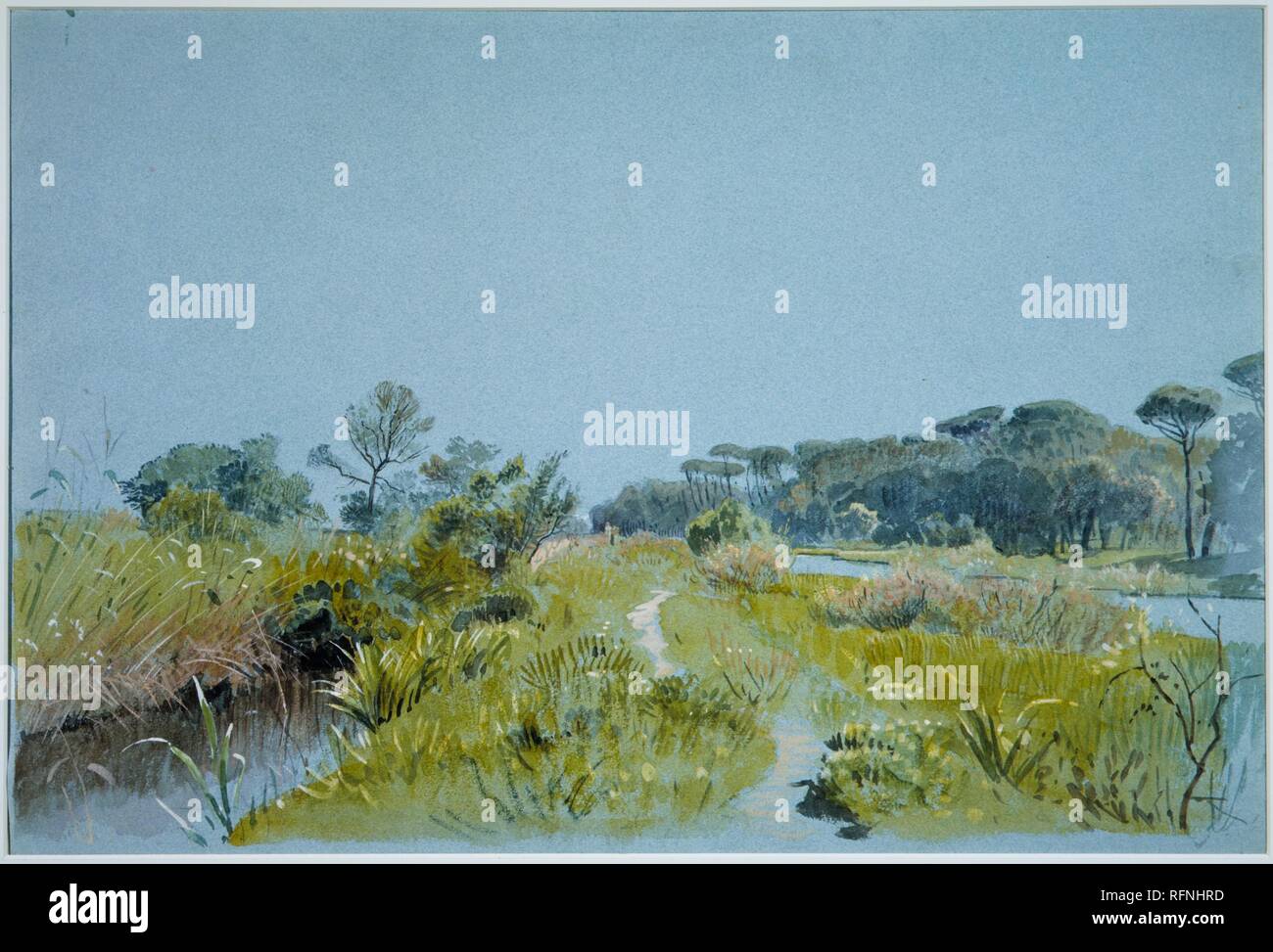 William Haseltine High Resolution Stock Photography and Images - Alamy