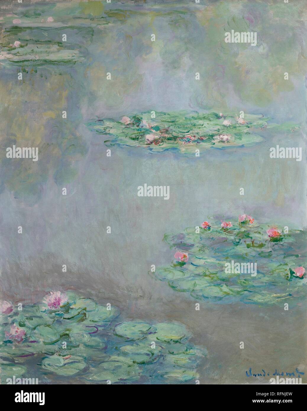 Nymphas High Resolution Stock Photography and Images - Alamy