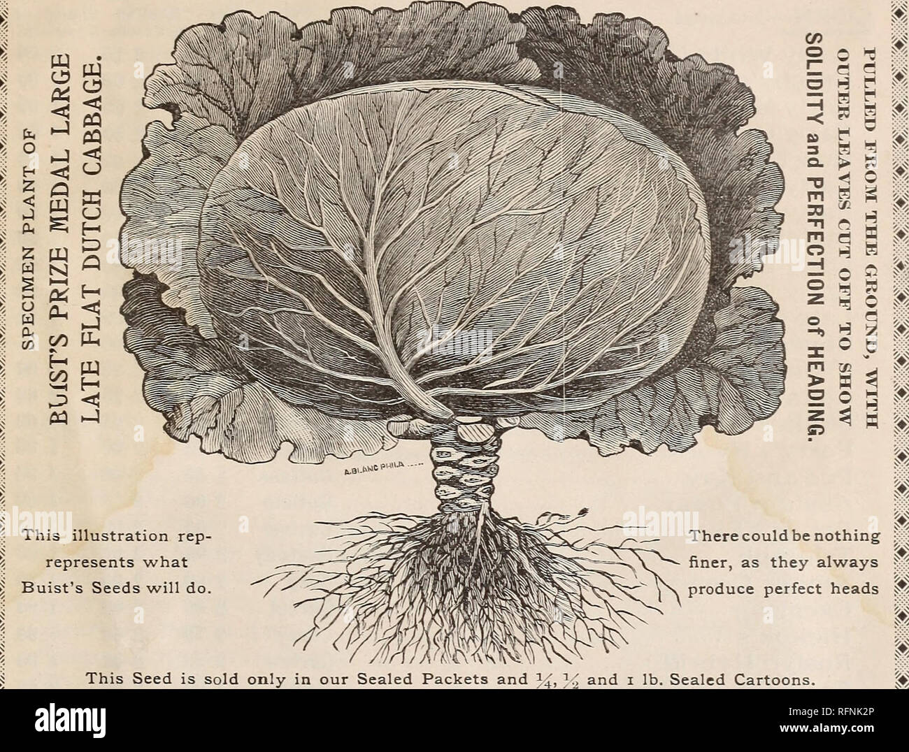 50 cartoons hi-res stock photography and images - Alamy