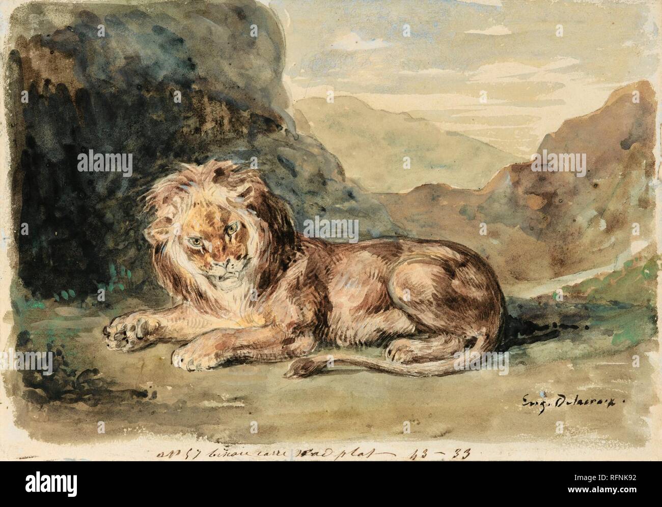 Lion victor at the zoo lion victor at the zoo hi-res stock photography ...