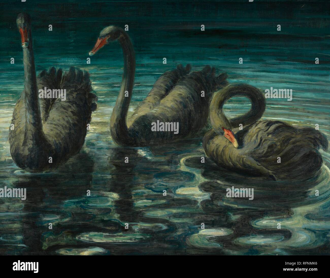 Swans sunset nature journey hi-res stock photography and images - Alamy