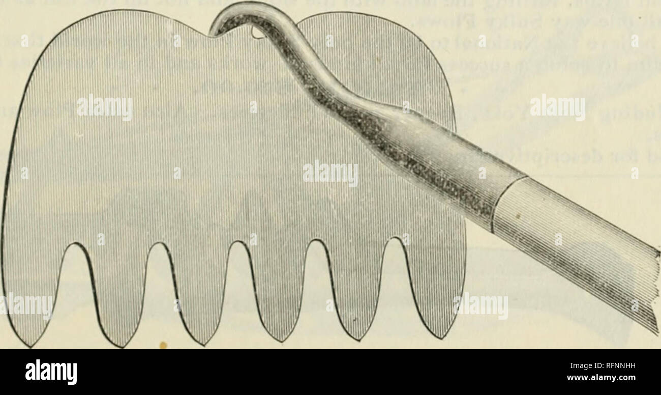 Dunning wheel hi-res stock photography and images - Alamy