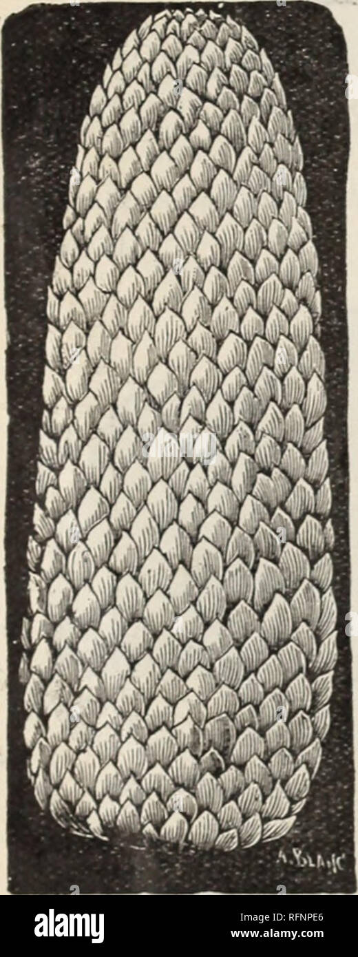 Cory oliver hi-res stock photography and images - Alamy