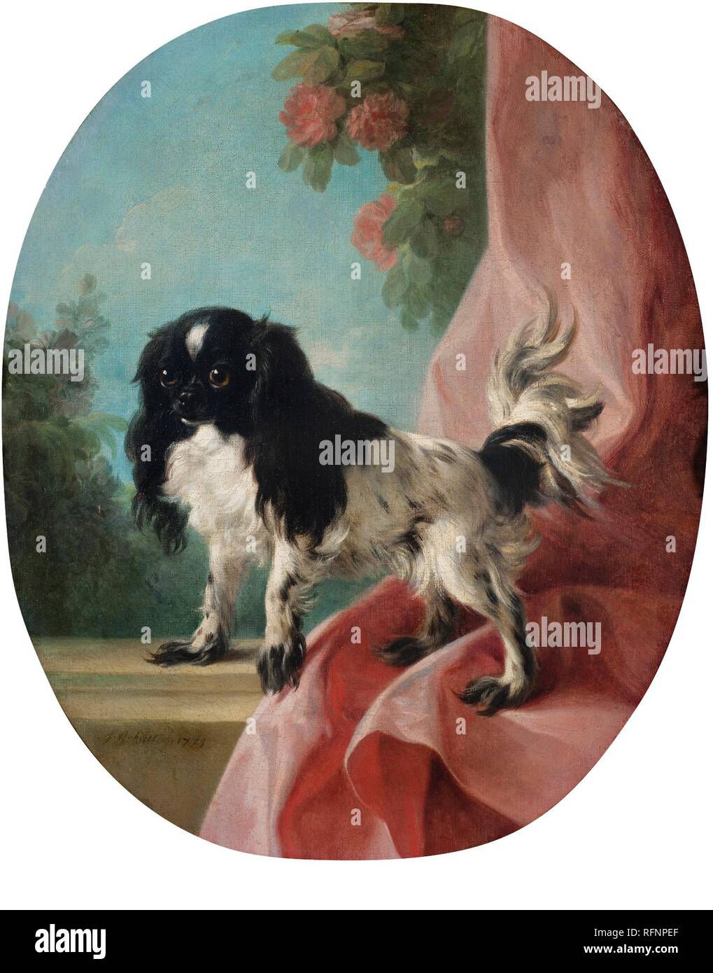 Huet huet bird hi-res stock photography and images - Alamy