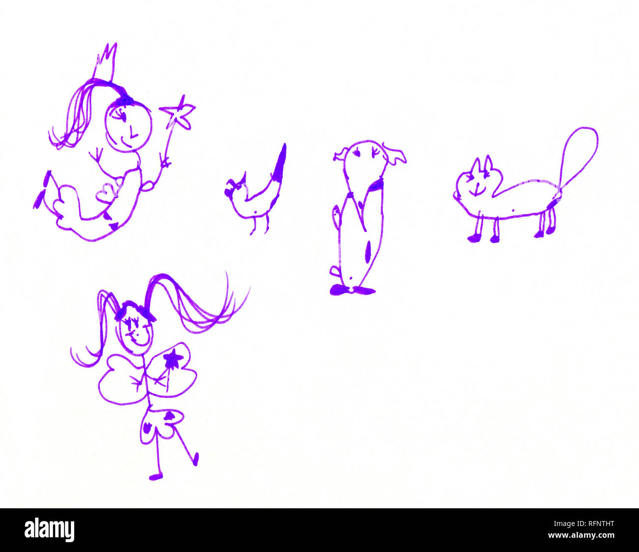 Simple purple line drawing Cut Out Stock Images & Pictures - Alamy