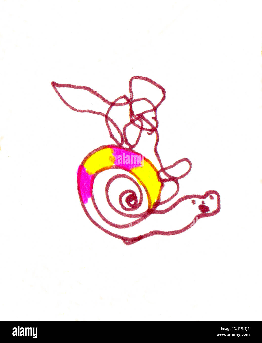 Animal figure drawing Cut Out Stock Images & Pictures - Alamy