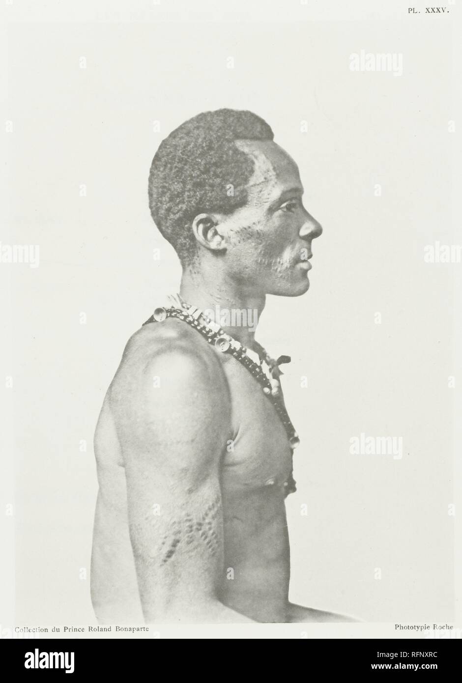 Roland napoleon bonaparte hi-res stock photography and images - Alamy