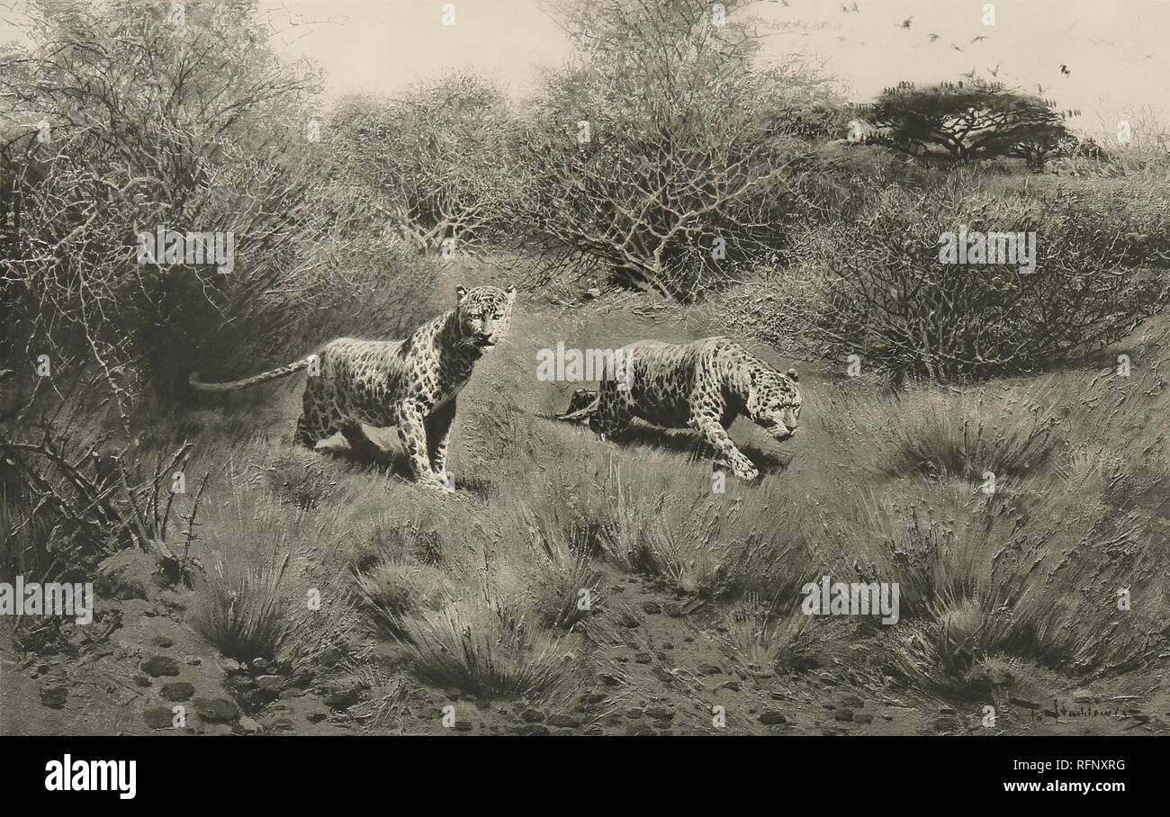 Joseph Count High Resolution Stock Photography and Images - Alamy