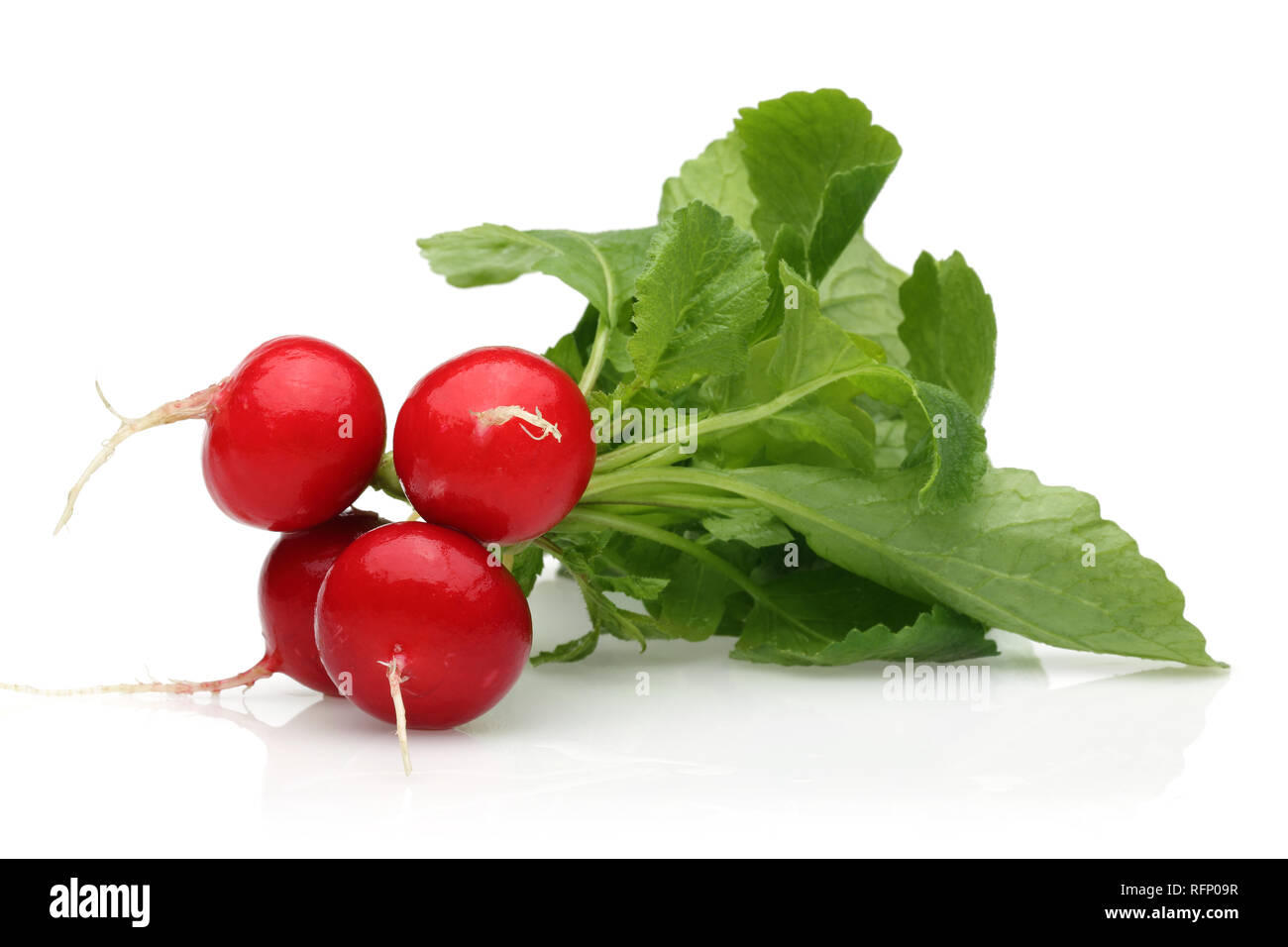 Red radish and green leaves isolated on white background Stock Photo ...