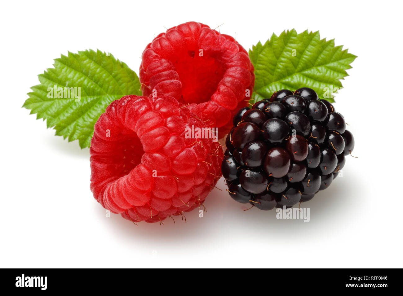 Raspberries and blackberry with leaves on white background Stock Photo ...