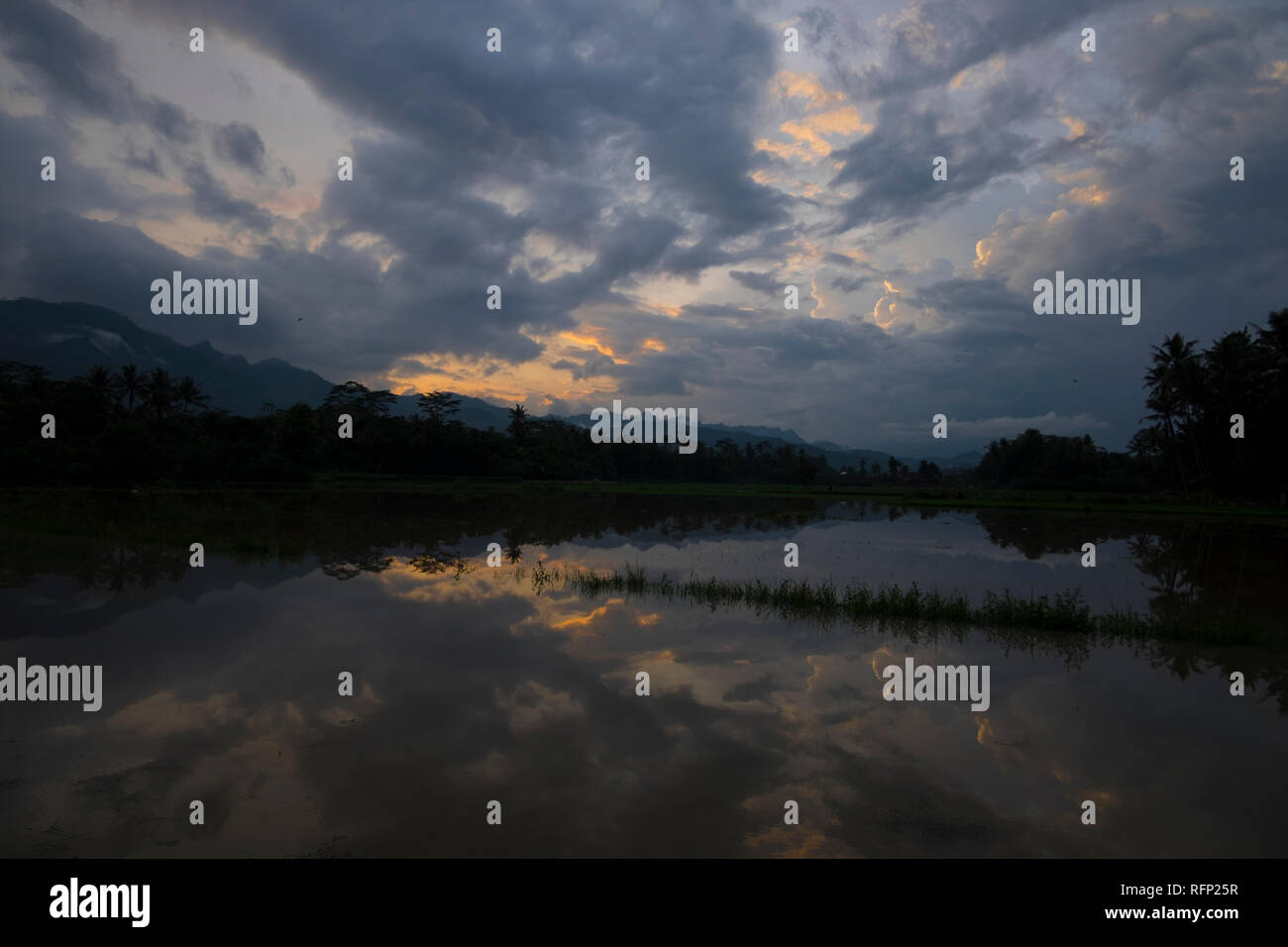 A dramatic sunset over rice paddies in Borobudur, Java, Indonesia Stock ...