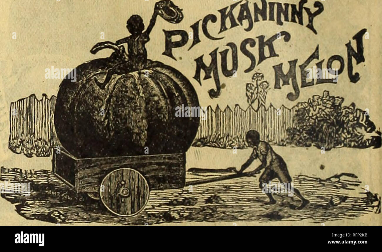 Pickaninny High Resolution Stock Photography and Images - Alamy