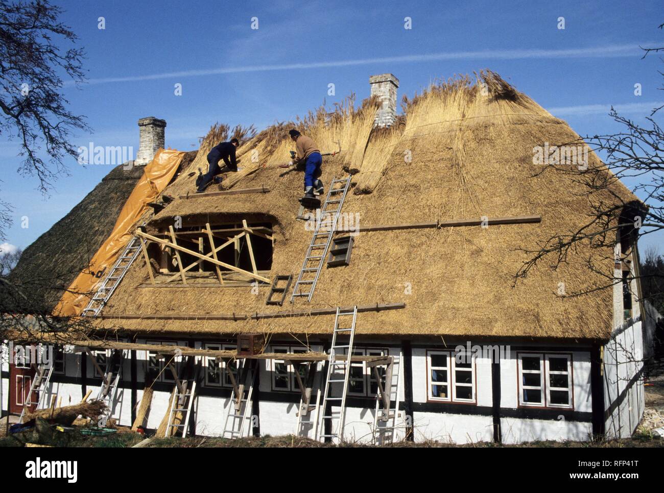 Reed roof hi-res stock photography and images - Alamy