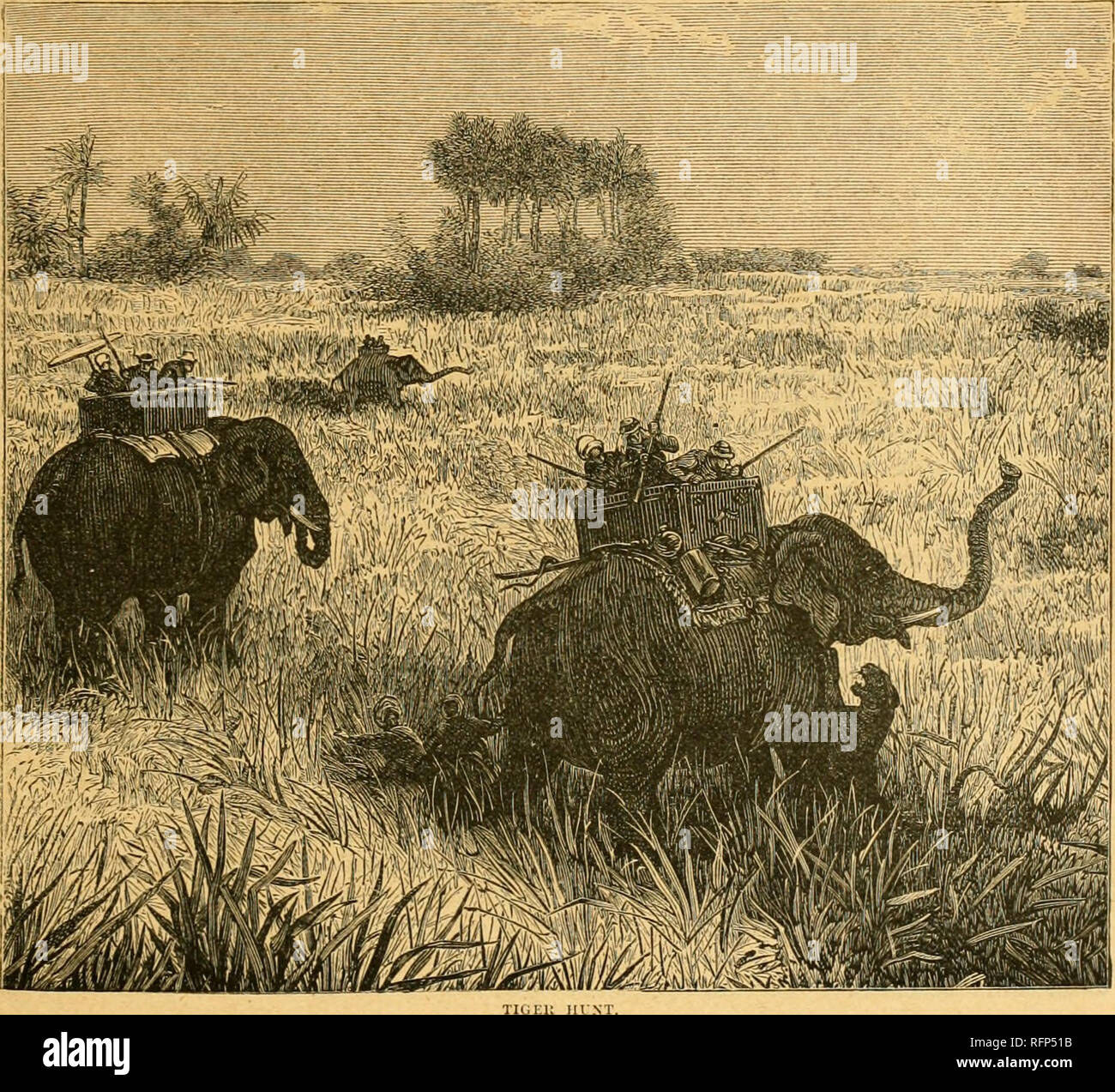 Missed teeth hi-res stock photography and images - Alamy