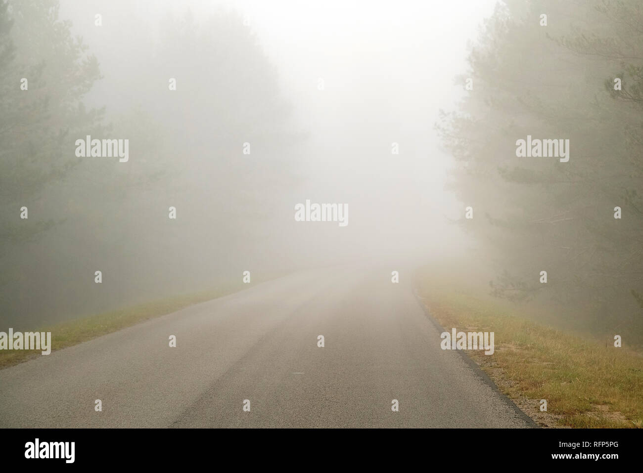 Driving on countryside road in fog. Illustration of dangers of driving ...