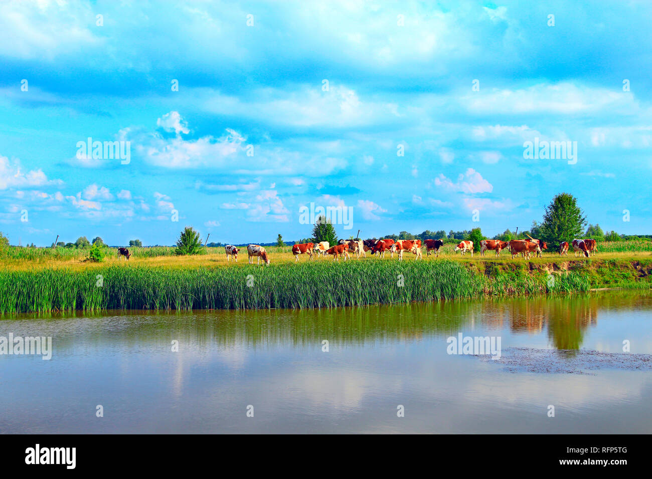 Animal farm landscape hi-res stock photography and images - Alamy
