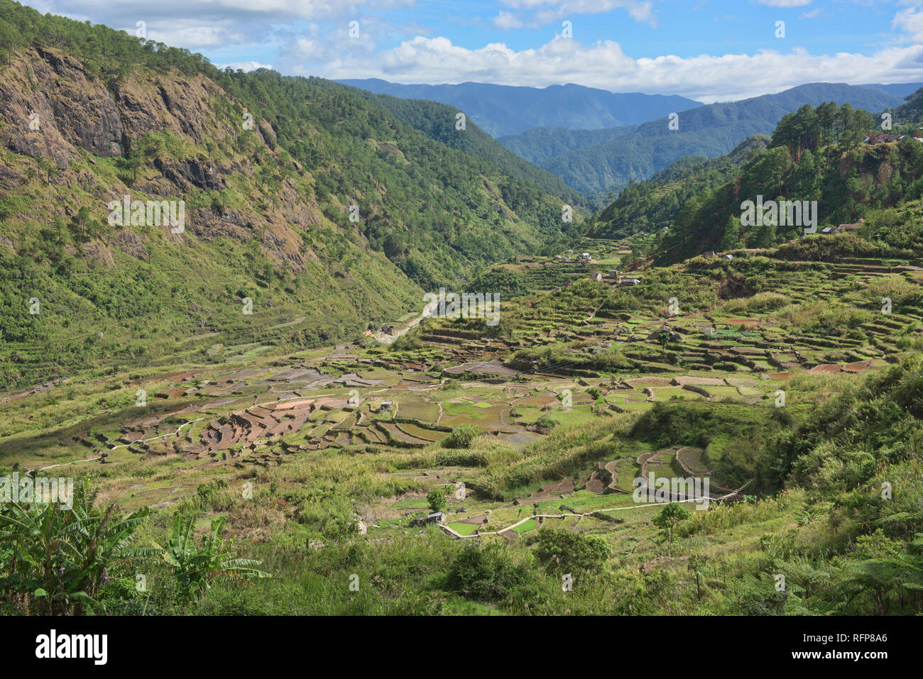 Beautiful rice terraces in Fidelisan village, Sagada, Mountain Province ...