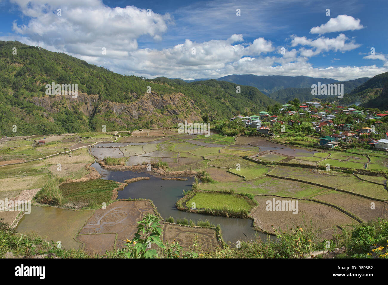 Beautiful rice terraces in Fidelisan village, Sagada, Mountain Province ...