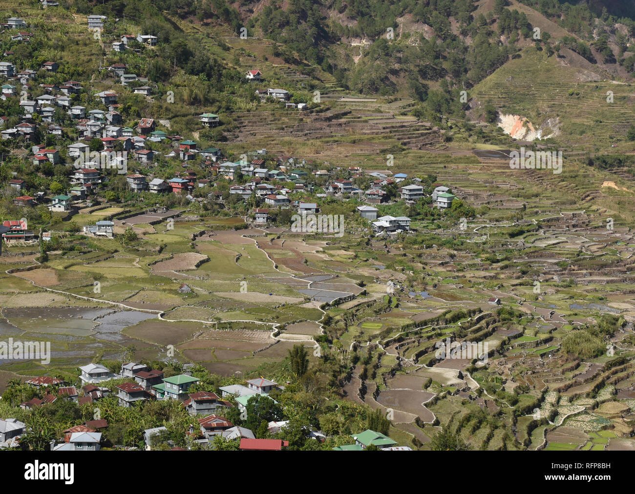 Beautiful rice terraces in Fidelisan village, Sagada, Mountain Province ...