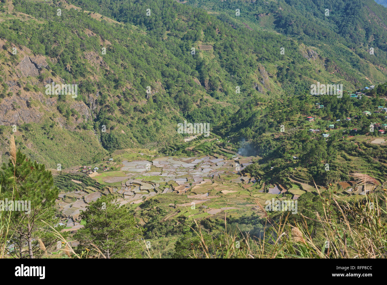 Beautiful rice terraces in Fidelisan village, Sagada, Mountain Province ...