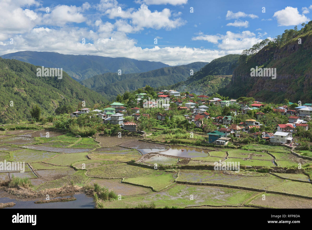 Beautiful rice terraces in Fidelisan village, Sagada, Mountain Province ...
