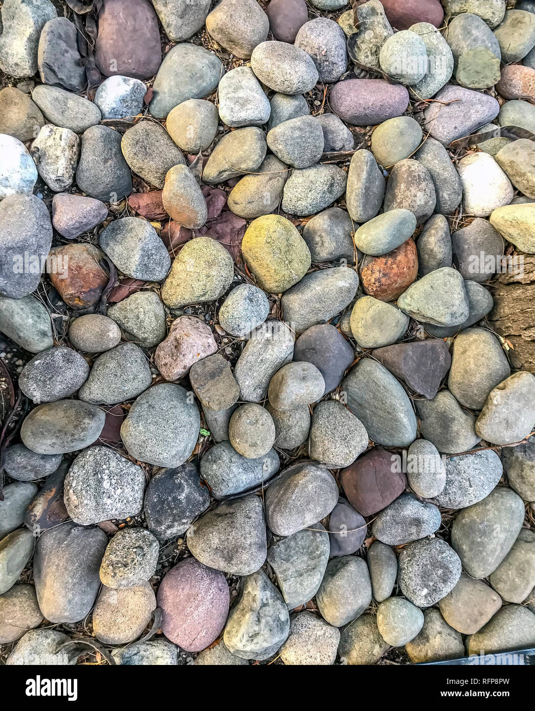 Organized pepples and rocks organized on path Stock Photo - Alamy