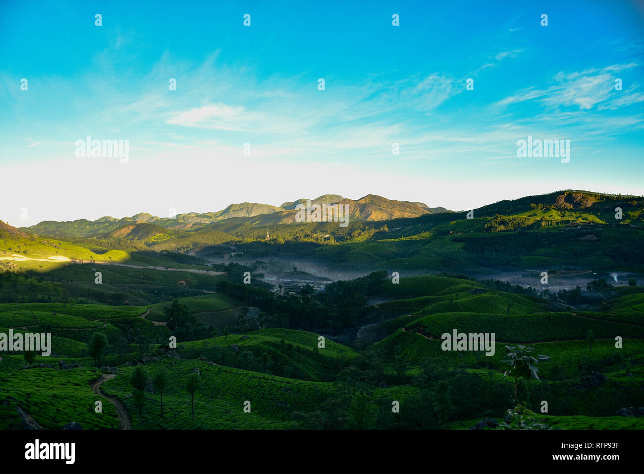 Lockhart tea estate hi-res stock photography and images - Alamy