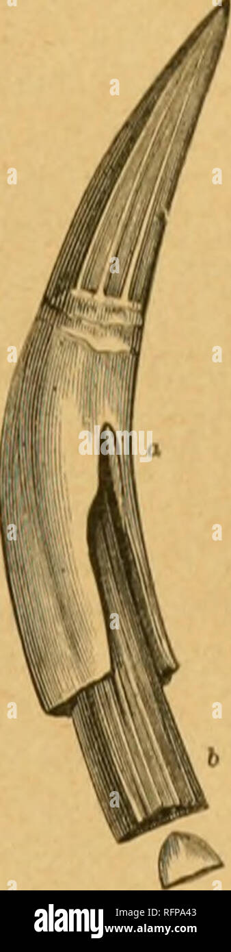 Vut out hi-res stock photography and images - Alamy