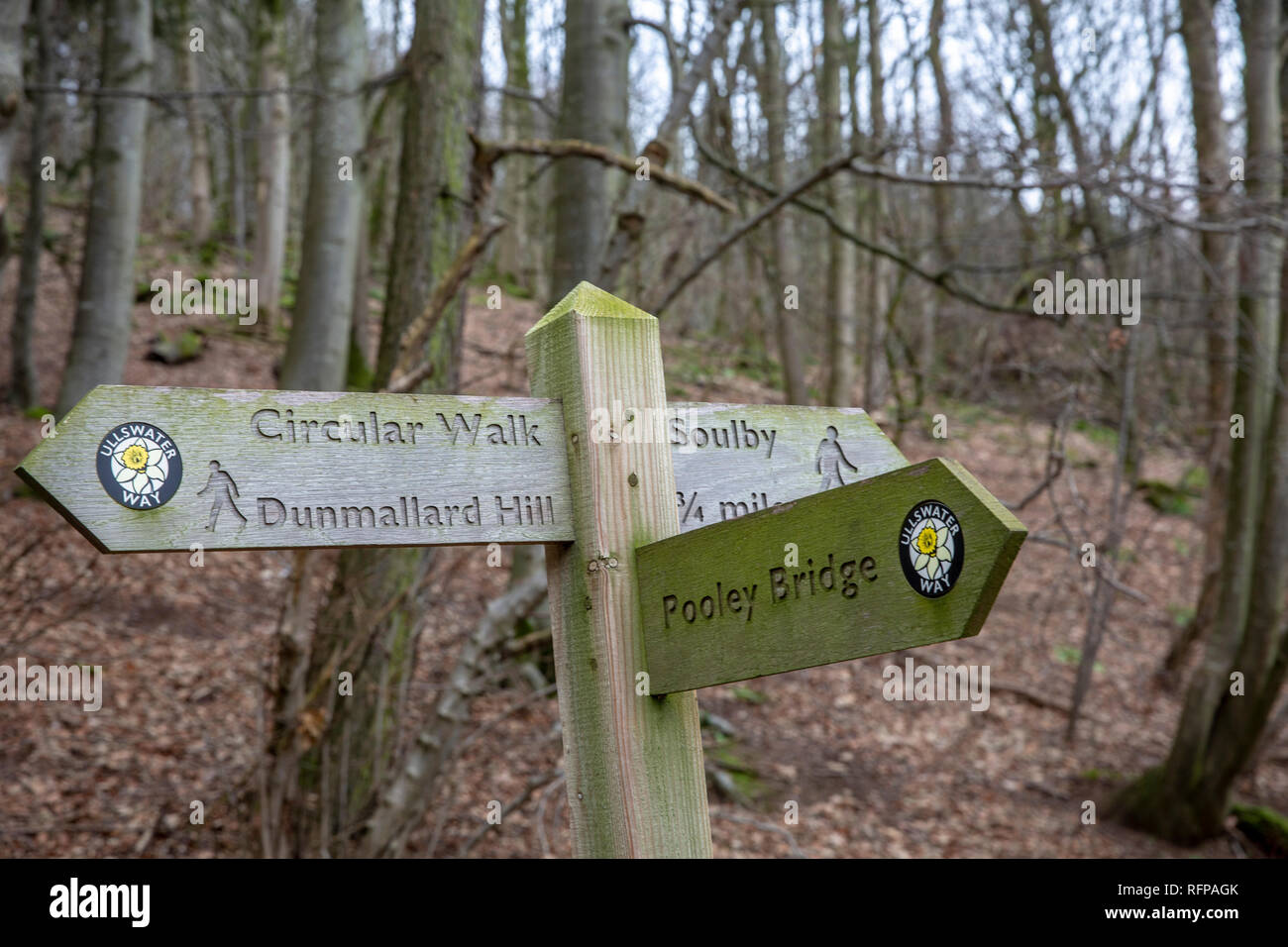 Wooden signpost near Pooley Bridge with directions for walking trails ...