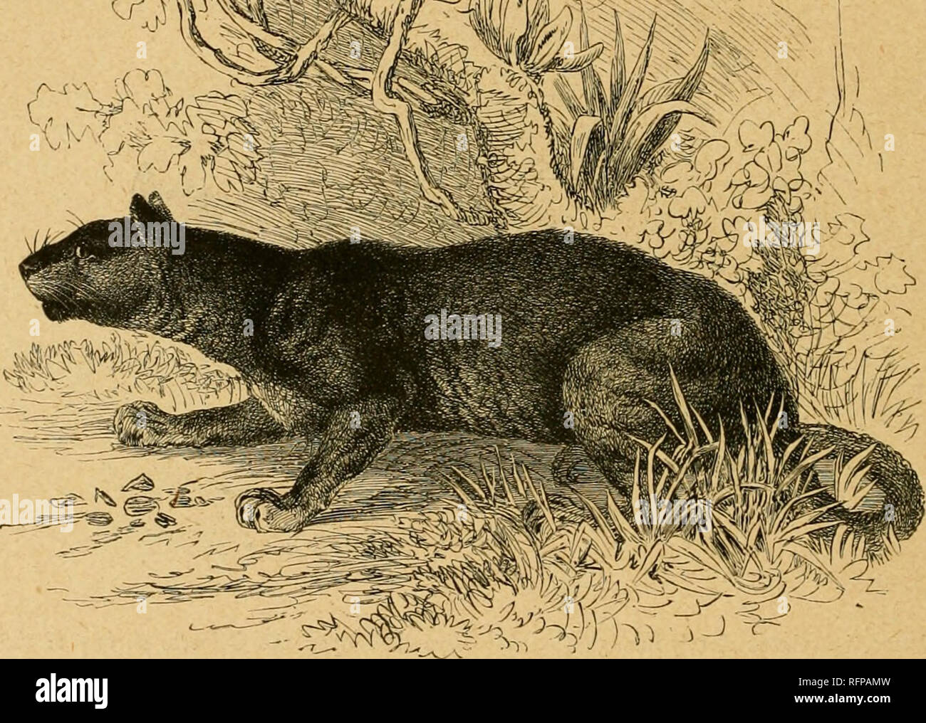 Brehm house hi-res stock photography and images - Alamy