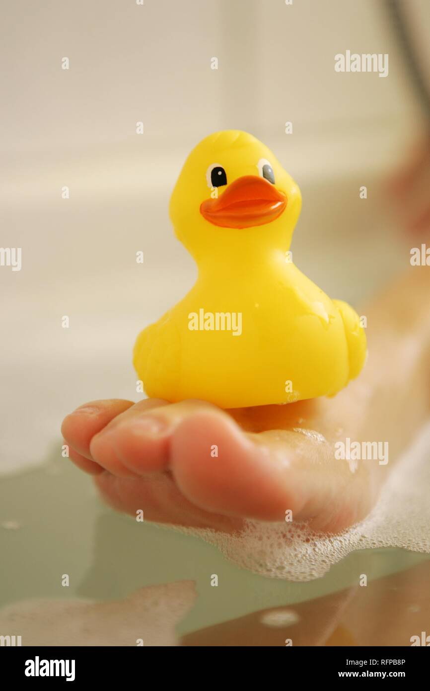 DEU, Germany : Yellow rubber duck Stock Photo - Alamy