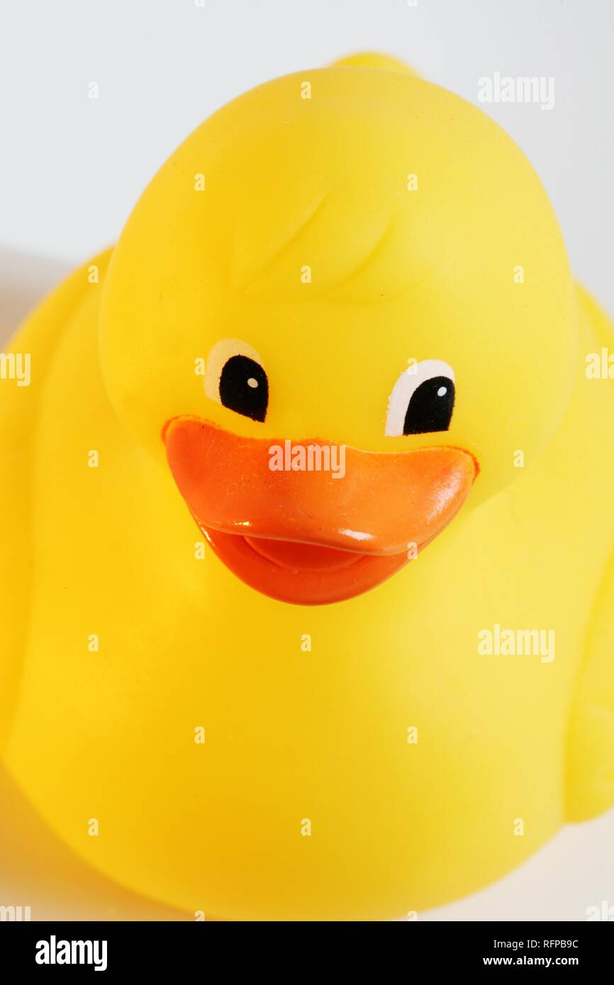 DEU, Germany : Yellow rubber duck Stock Photo - Alamy