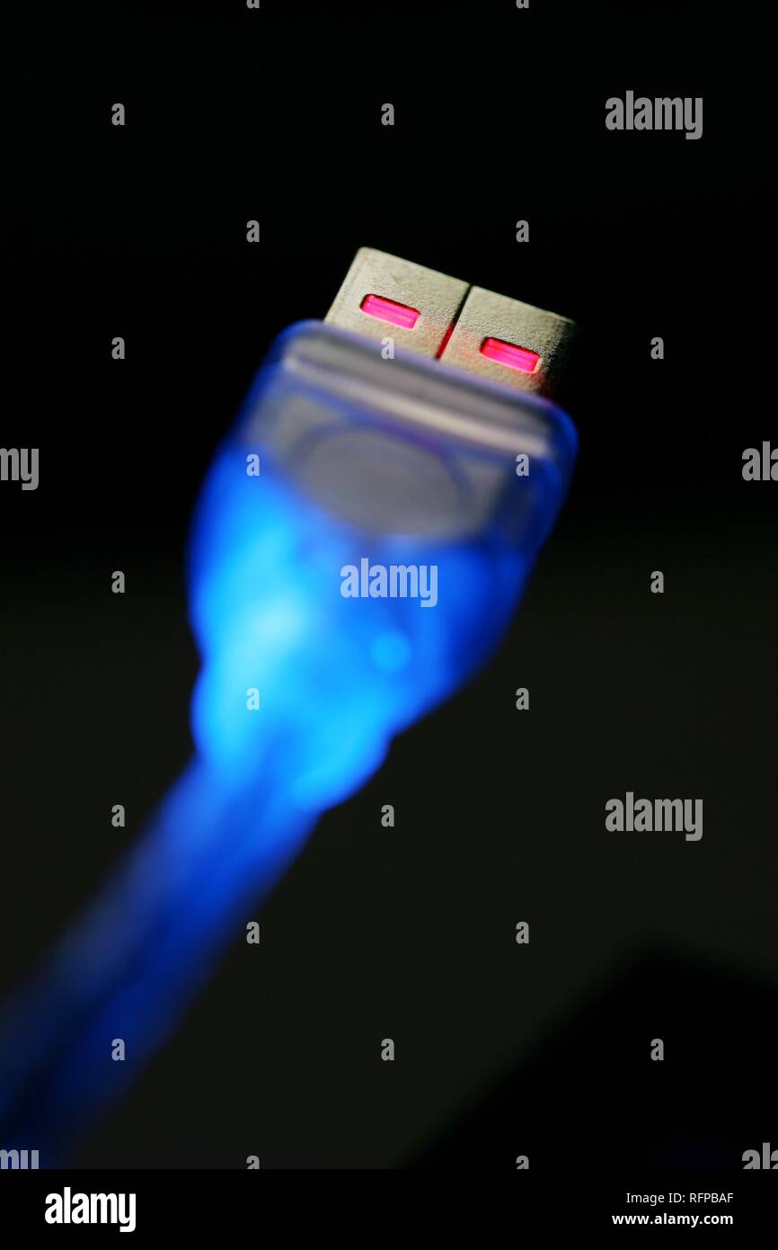 DEU, Germany : USB cable, USB plug to a personal computer. USB 2.0 ...