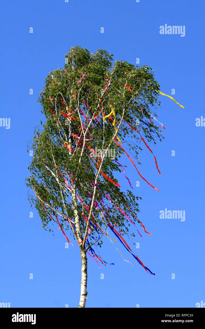 May tree festival hi-res stock photography and images - Alamy