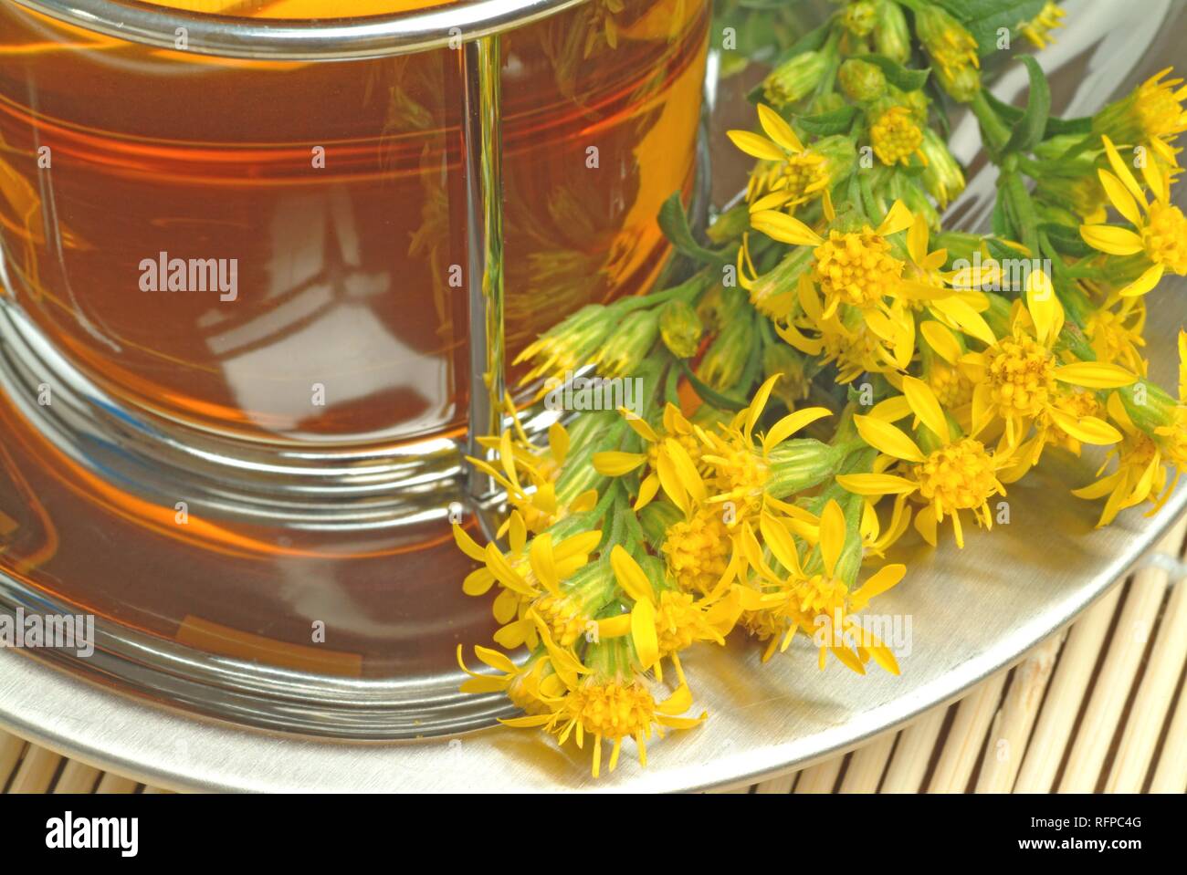 Golden rod tea hi-res stock photography and images - Alamy