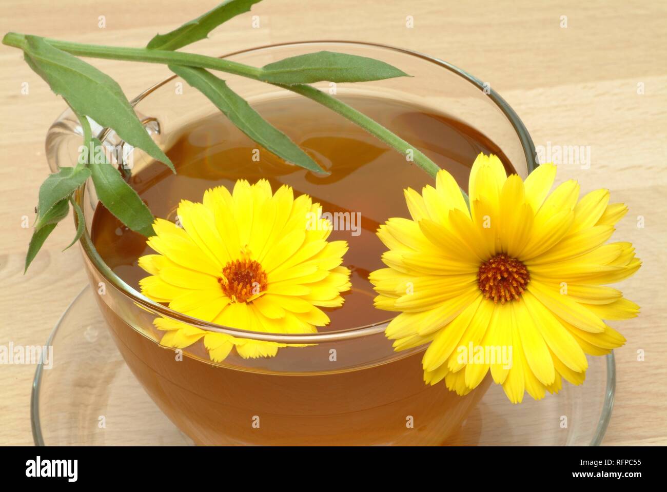 Marigold-tea, Marigold, Calendula officinalis Stock Photo - Alamy