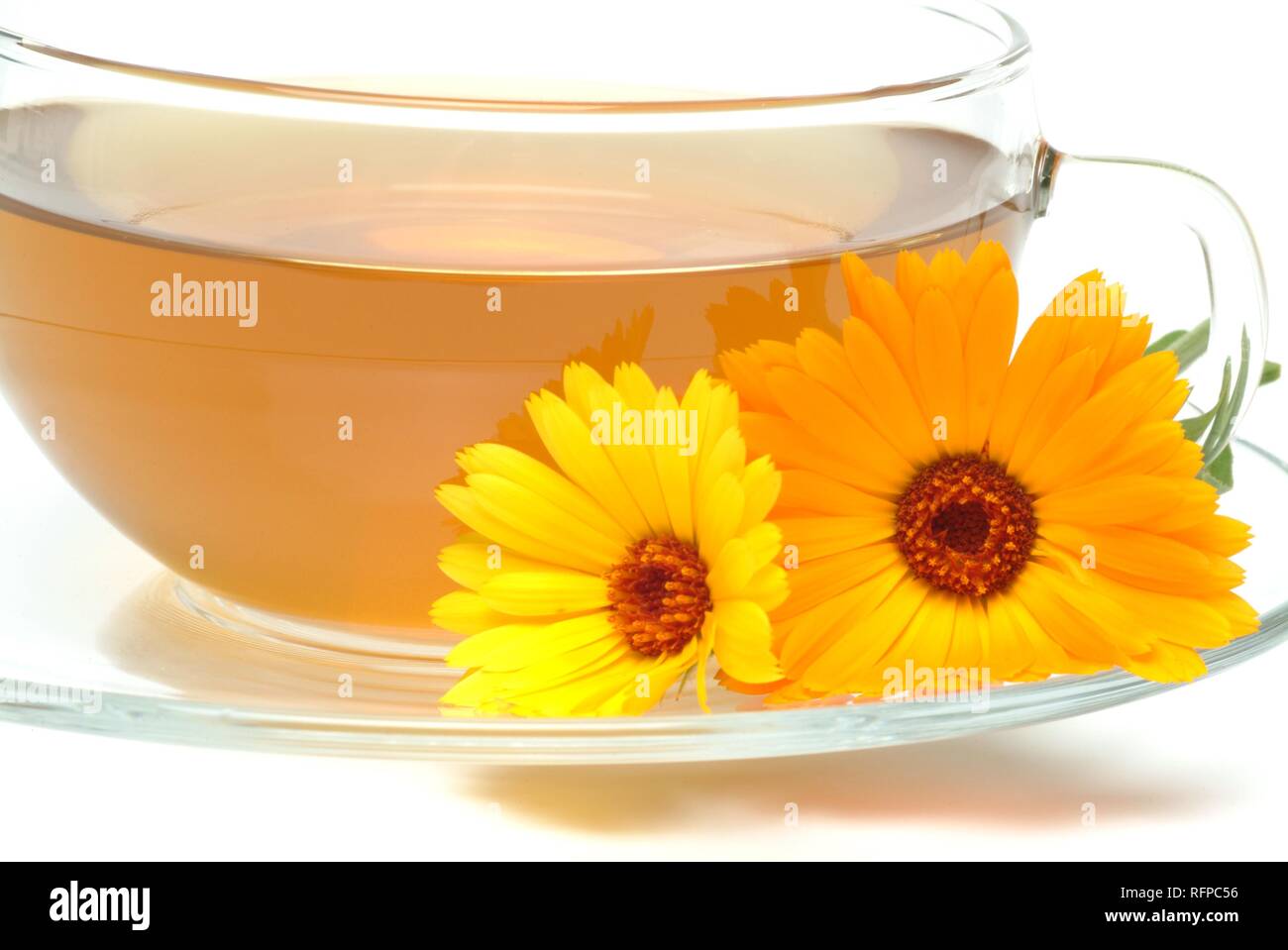 Marigold-tea, Marigold, Calendula officinalis Stock Photo - Alamy