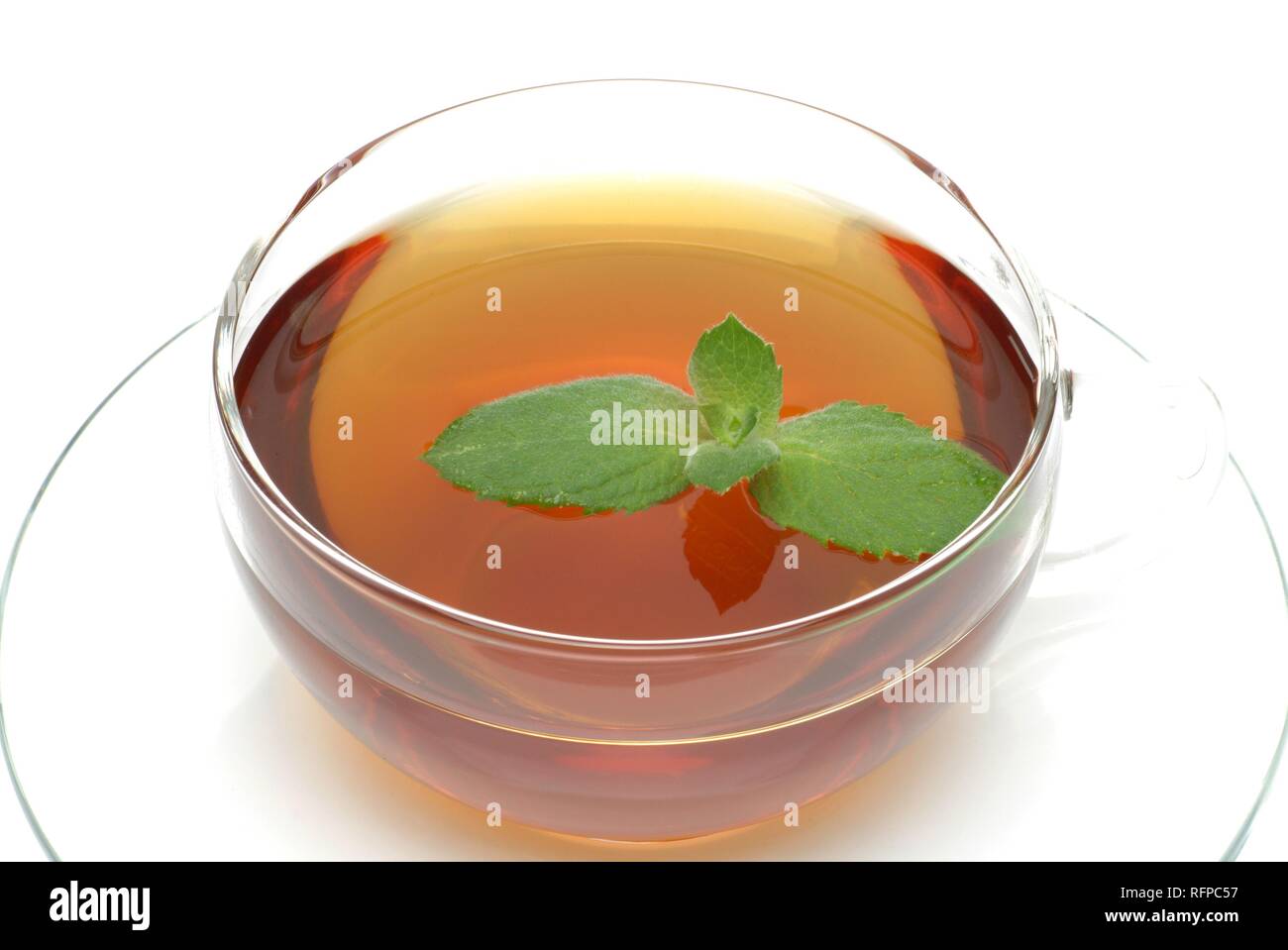Peppermint-tea, pepperminttea, menta piperina, mentha piperita Stock ...