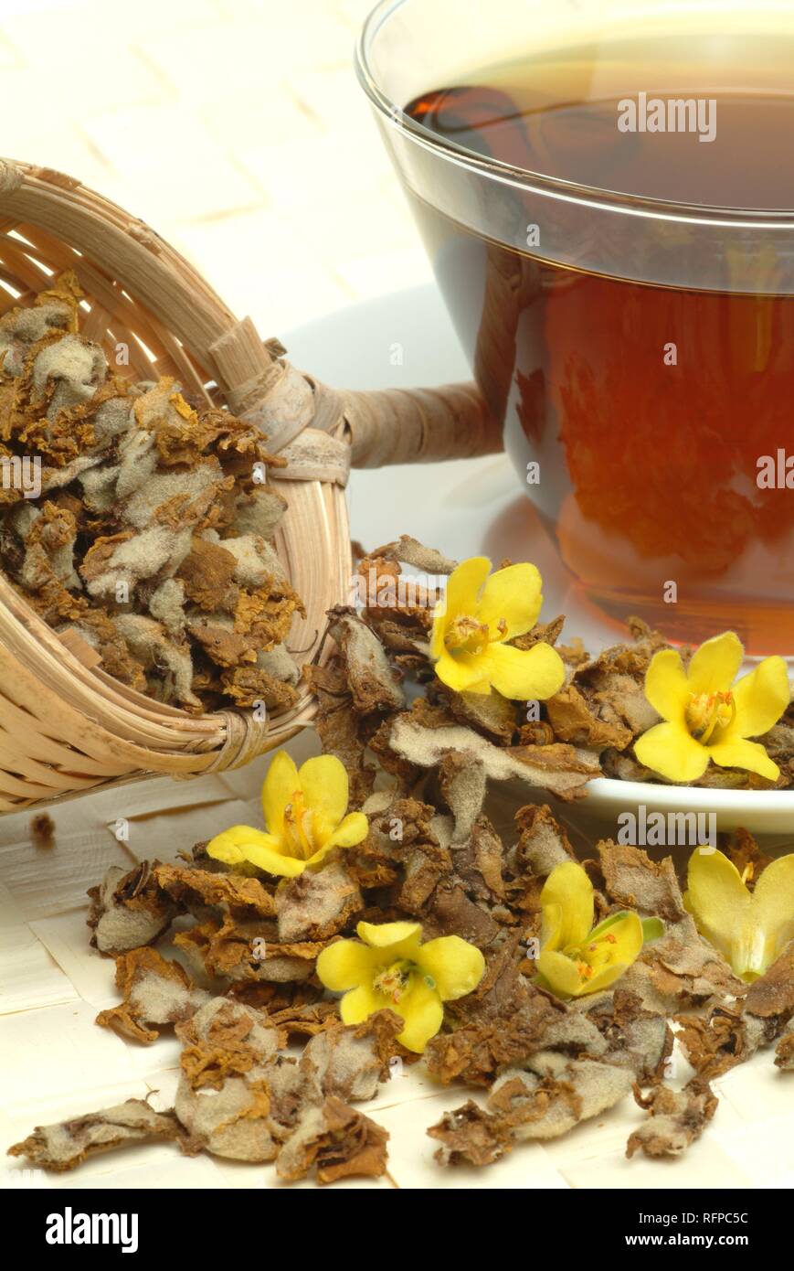 Tea made of great mullein, leaves and blossoms, herbtea, Verbascum ...