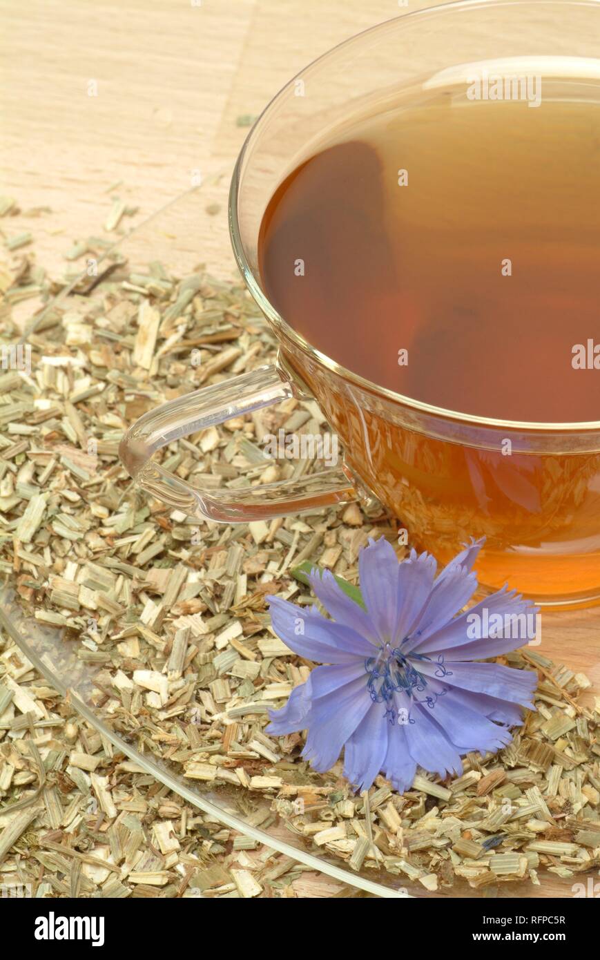 Wild Chicory tea, Cichorium intybus, Cicoria selvatica Stock Photo - Alamy
