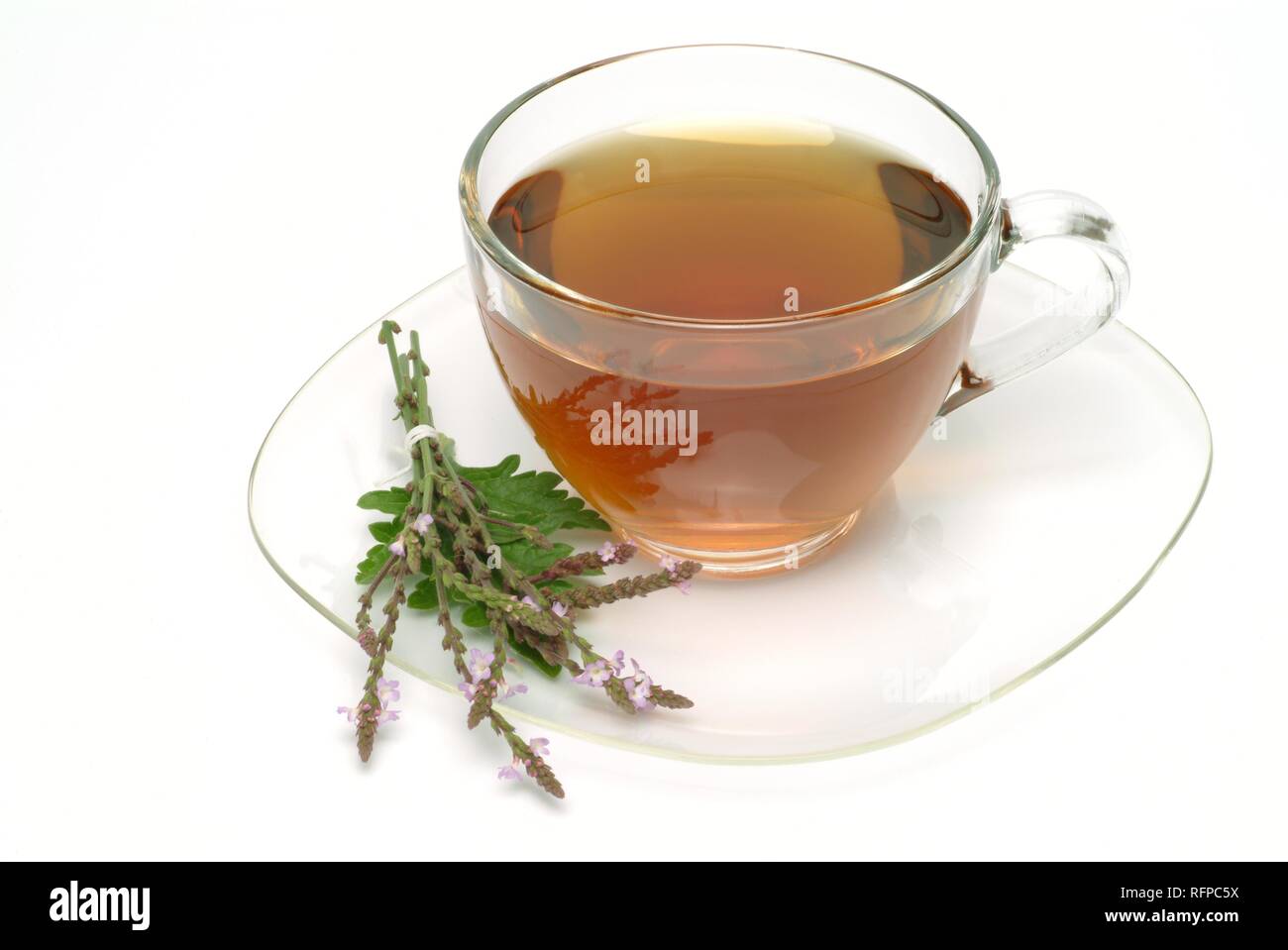 Verbena comune hi-res stock photography and images - Alamy