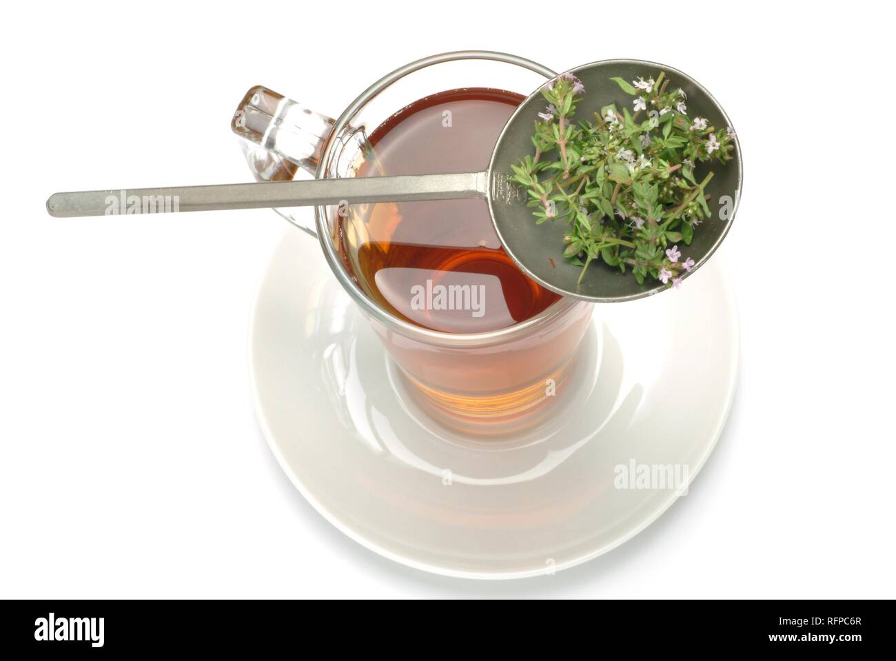 Herb tea made of thyme, thymus vulgaris Stock Photo - Alamy