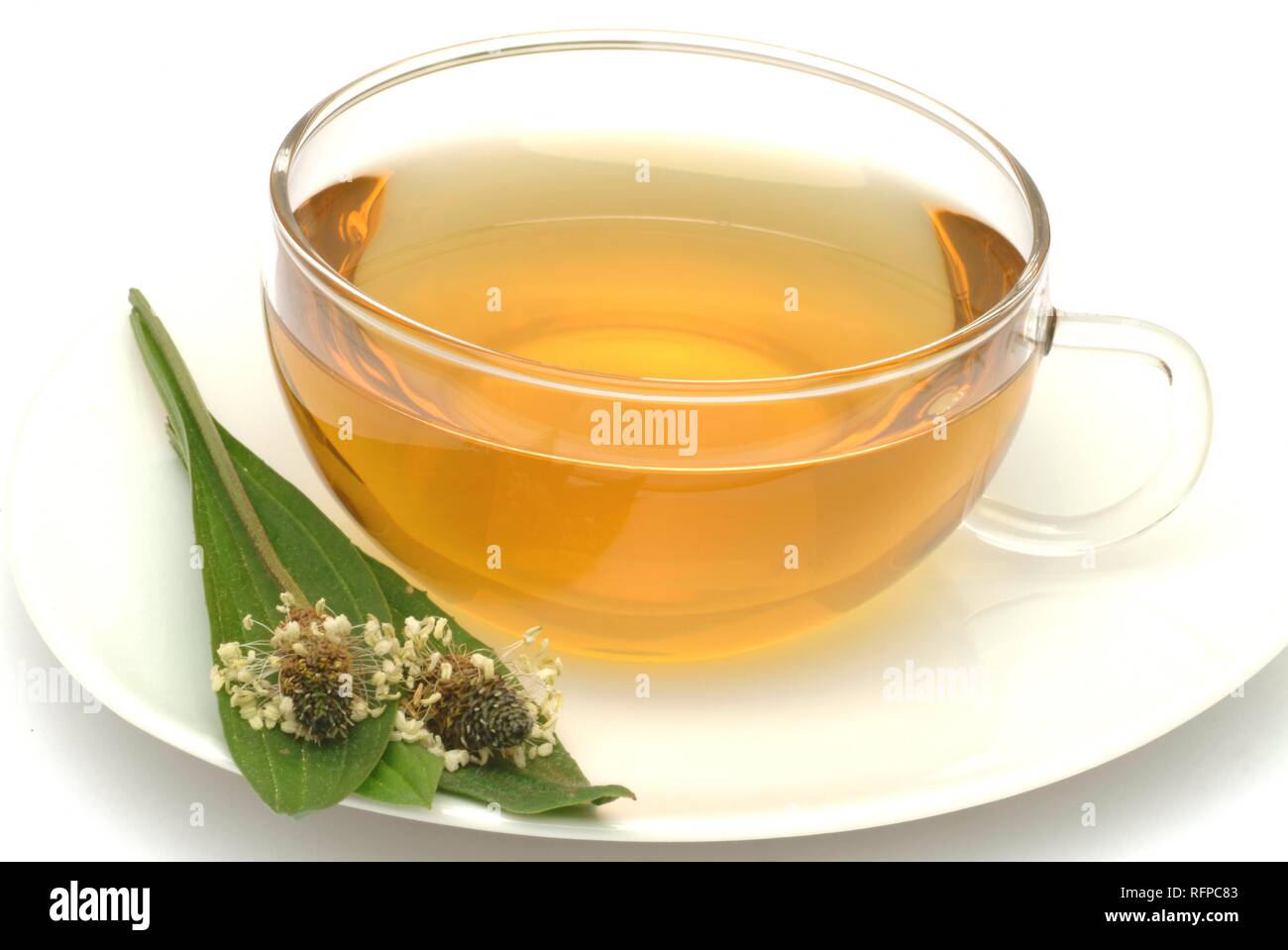 Long herb hi-res stock photography and images - Alamy