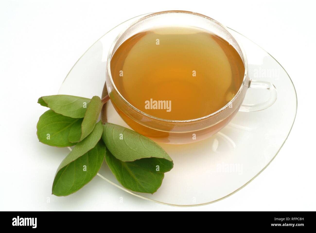 Herb tea made of Backbean, Buckbean, Marsh trefoil, Bogbean, Buckbean ...