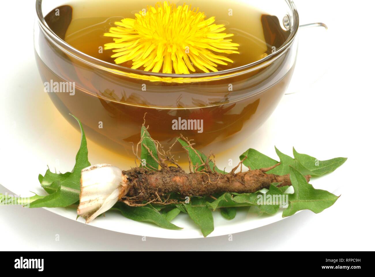 Herb tea made of common Dandelion Taraxacum officinale Stock Photo - Alamy