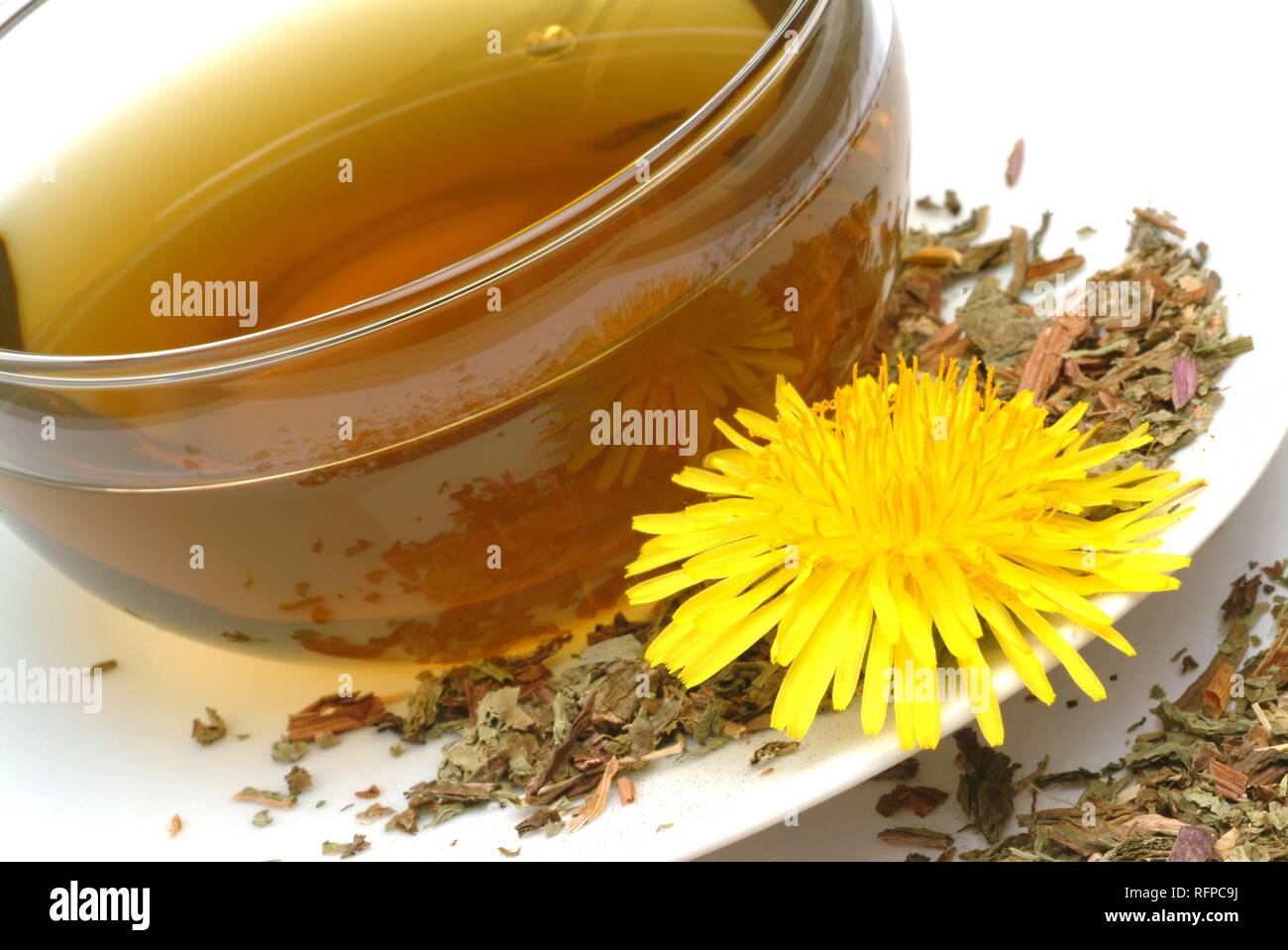 Herb tea made of common Dandelion Taraxacum officinale Stock Photo - Alamy