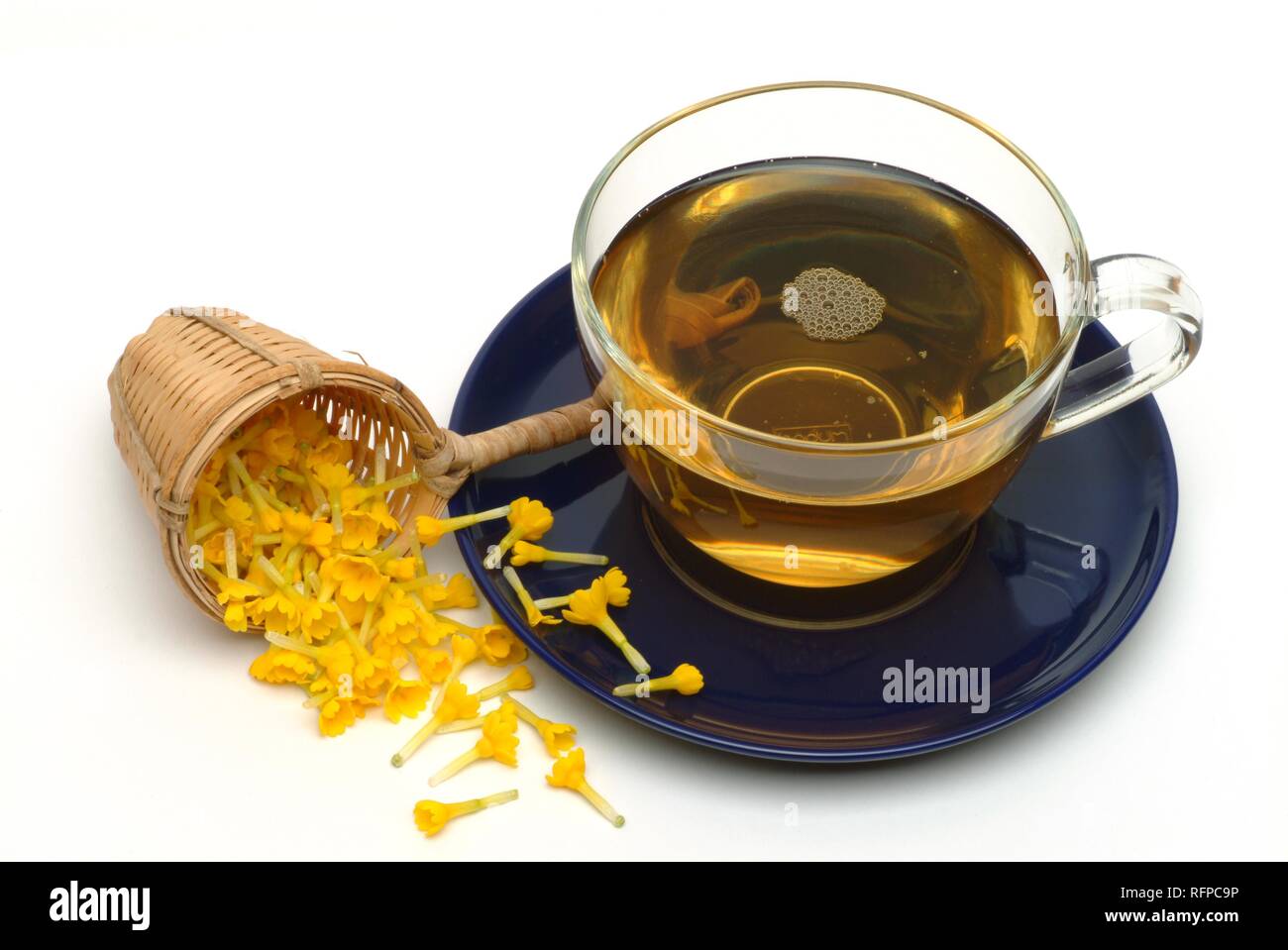 Herb tea made of cowslip, Primula officinalis Stock Photo - Alamy