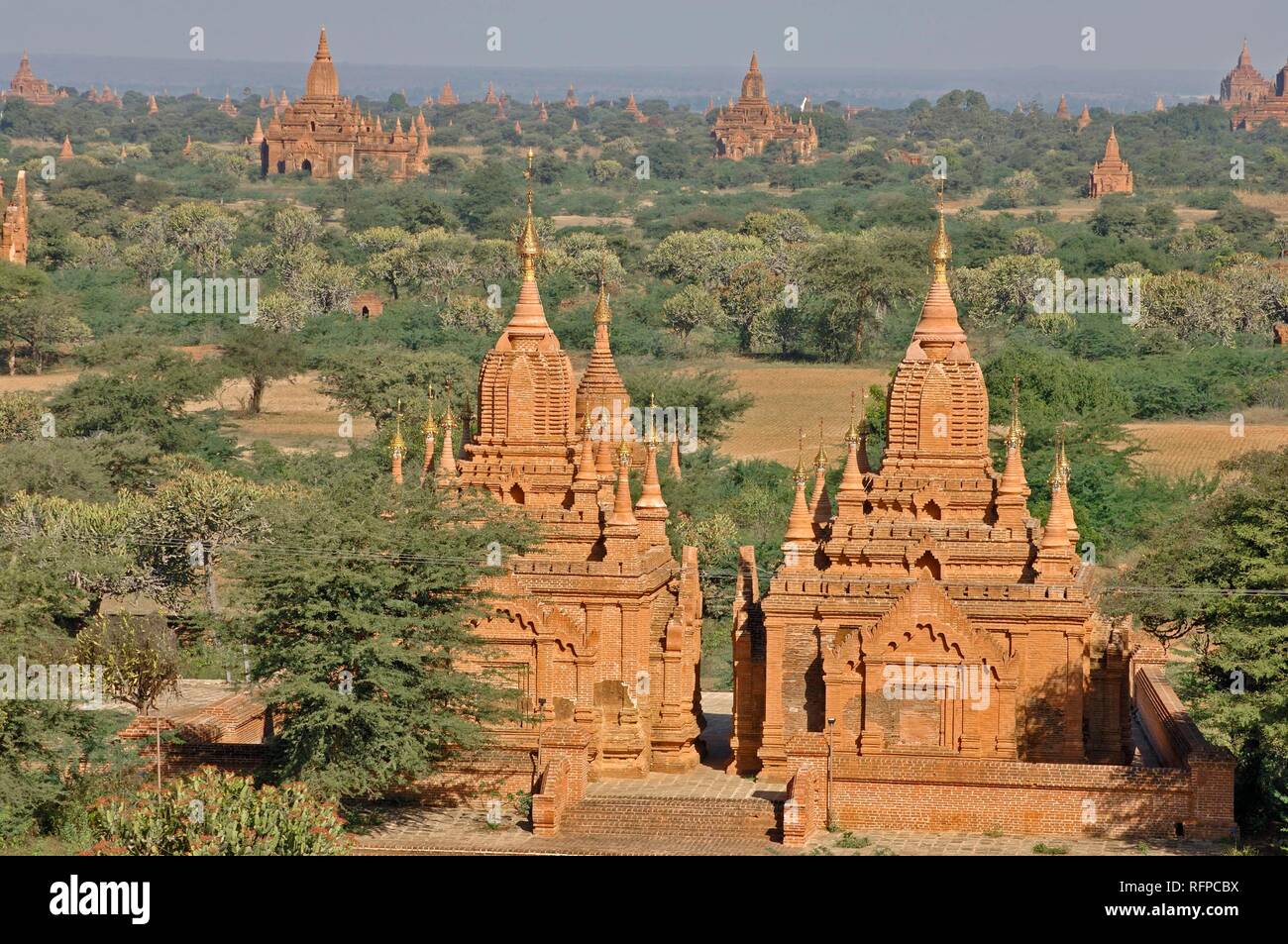 The archaeological site of Pagan, Bagan, Myanmar, Burma Stock Photo - Alamy